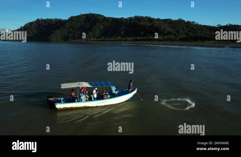 Fisherman throwing a fish net trying to catch sardines on a boat Costa ...