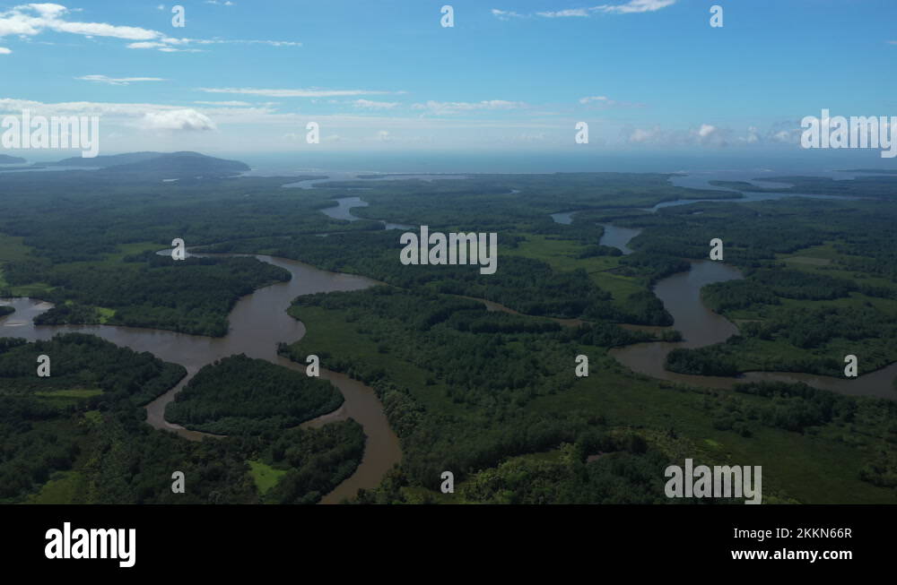 Mangroves ecosystem aerial shot Terraba sierpe national wetlands Costa ...