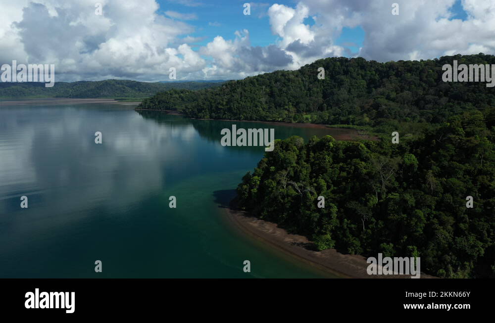 Tropical lowland forest Stock Videos & Footage - HD and 4K Video Clips ...