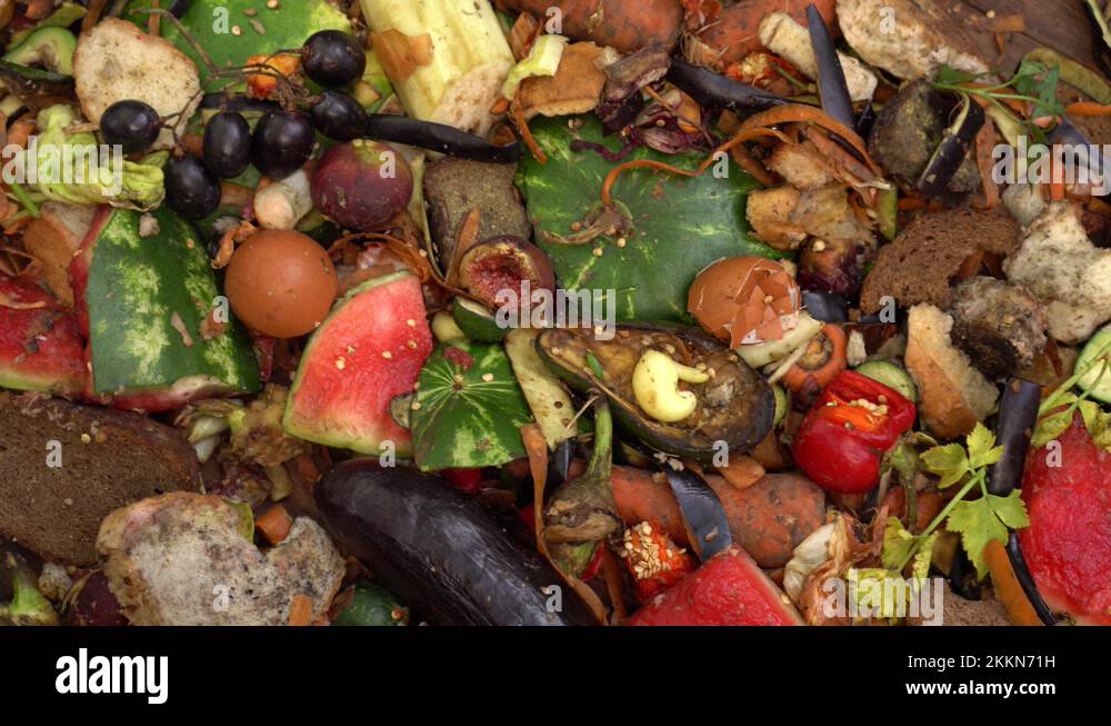 Fruit vegetable food waste Stock Videos & Footage - HD and 4K Video ...