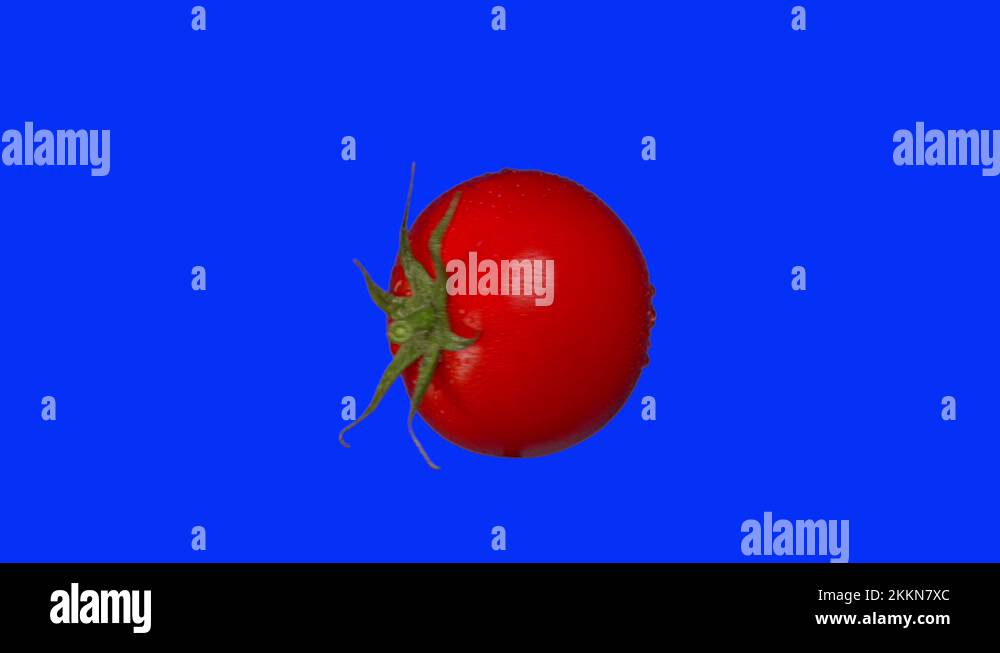 Tomato Spinning, Red and Wet, Blue Screen Chromakey 4K Stock Video ...