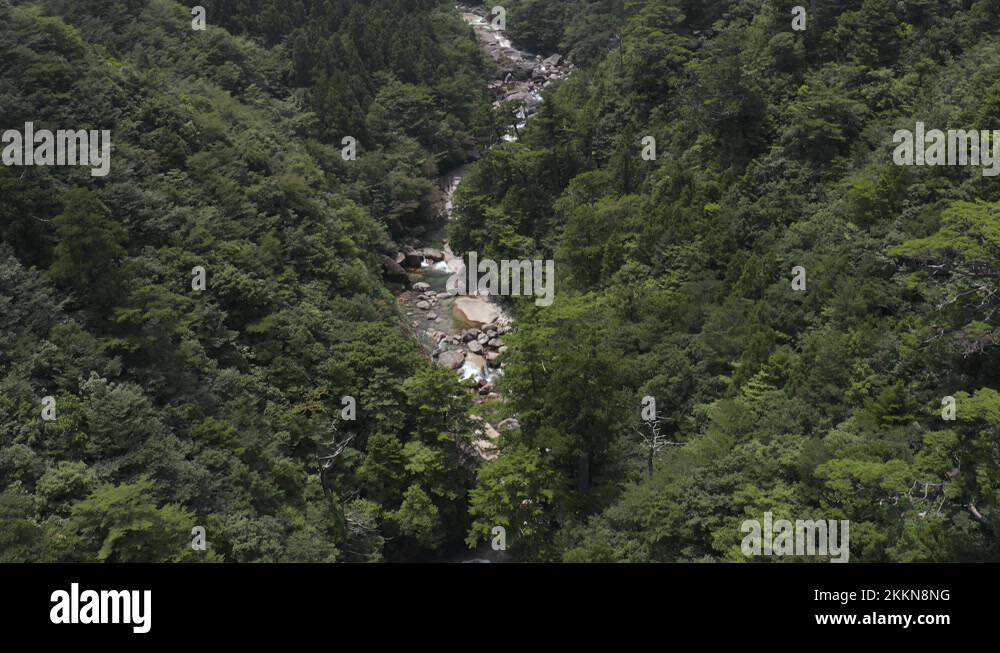 Mononoke Forest on Yakushima Island, Aerial tilt reveal of waterfall ...
