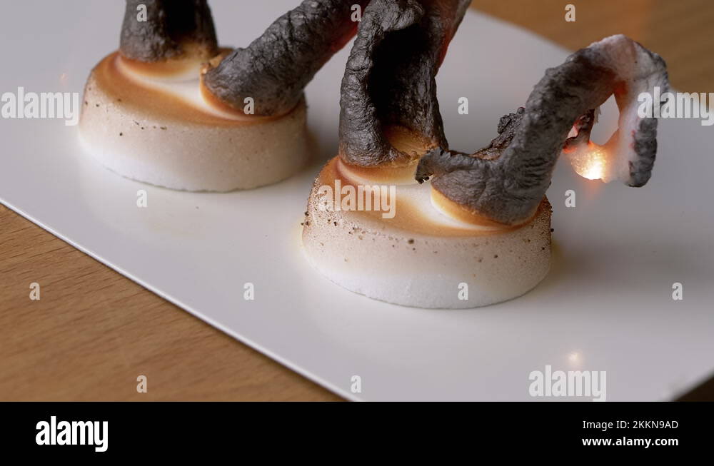 Pharaoh Snakes, Chemical Experiment with Calcium Gluconate Tablets, Dry ...