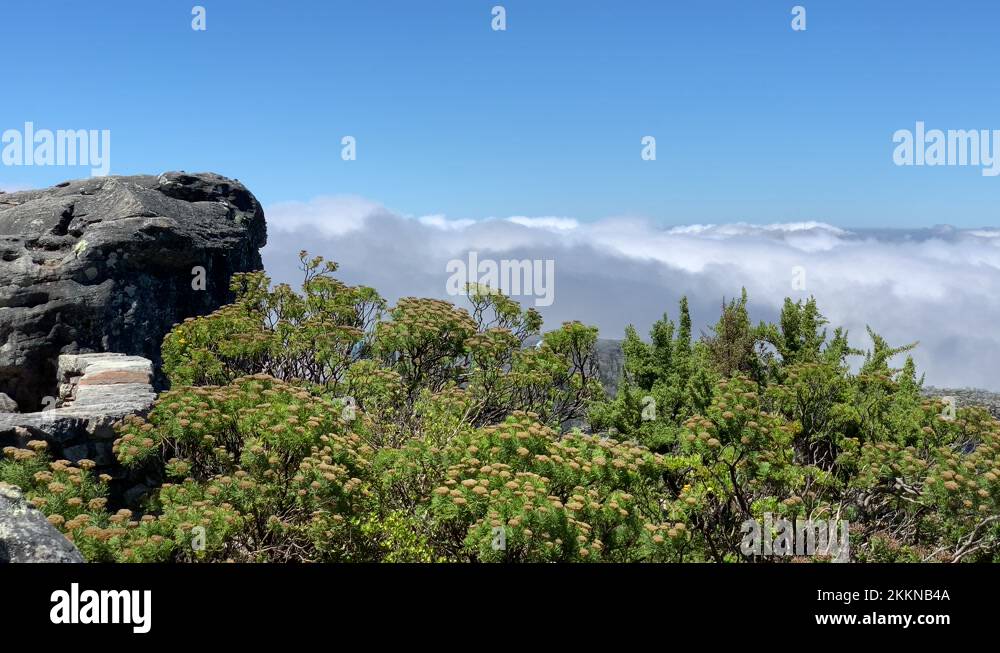 Huge granite boulders Stock Videos & Footage - HD and 4K Video Clips ...