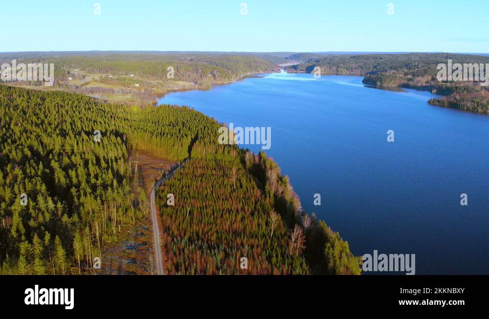 Green nature reserve Stock Videos & Footage - HD and 4K Video Clips - Alamy