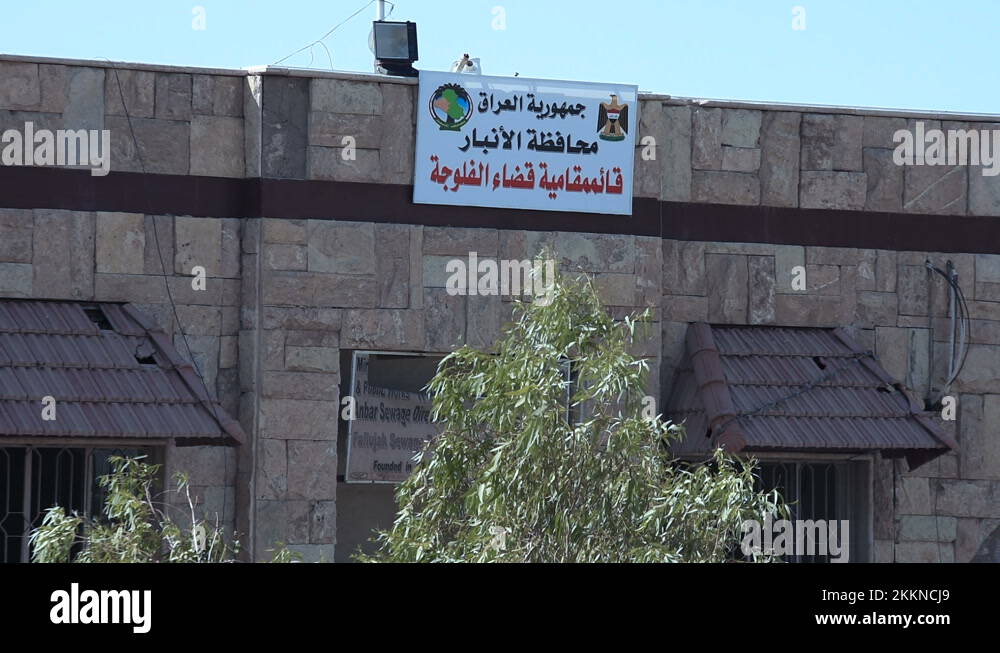 Isis tree Stock Videos & Footage - HD and 4K Video Clips - Alamy