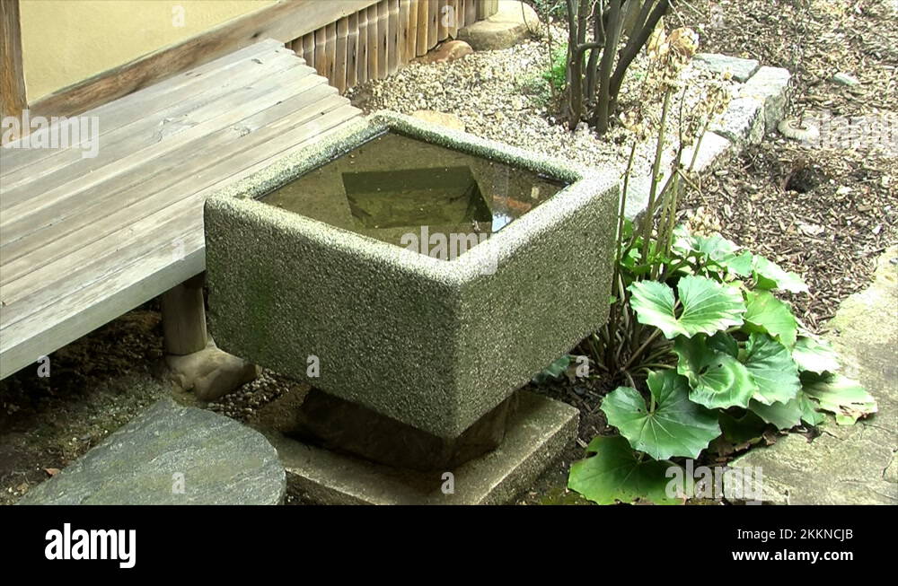 Rainwater basin Stock Videos & Footage - HD and 4K Video Clips - Alamy