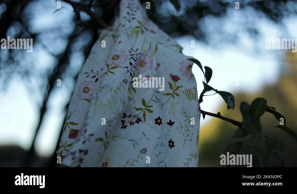 Girl hanging from tree Stock Videos & Footage - HD and 4K Video Clips ...