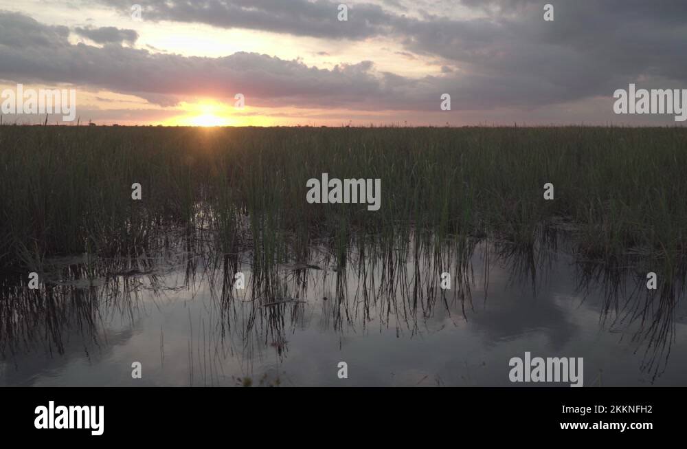 Sawgrass florida Stock Videos & Footage - HD and 4K Video Clips - Alamy