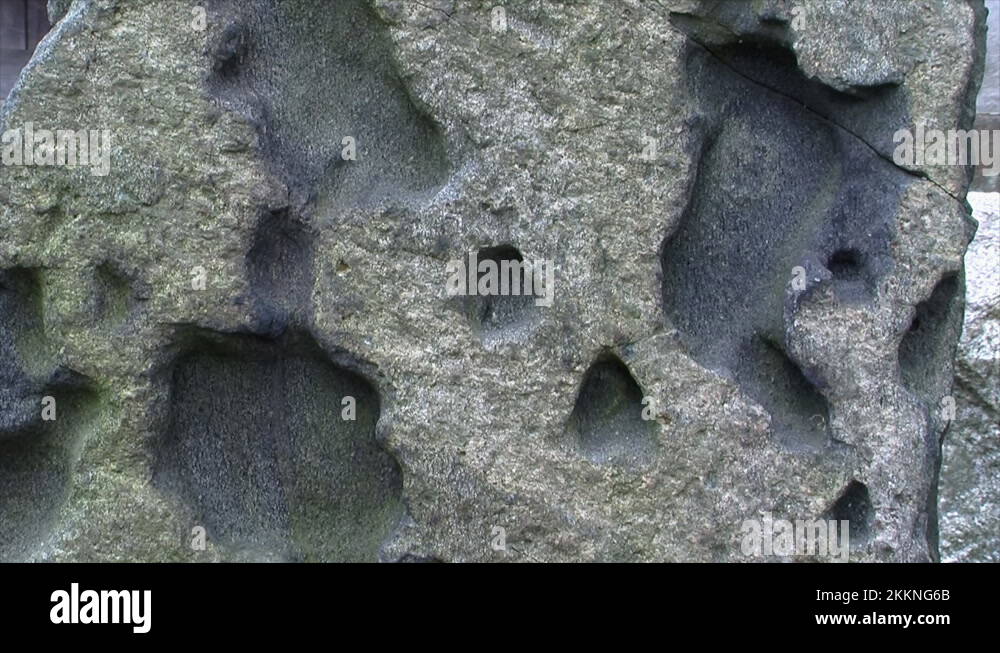 Patterned garden Stock Videos & Footage - HD and 4K Video Clips - Alamy