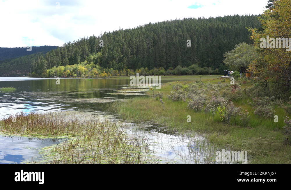 Shangri la park Stock Videos & Footage - HD and 4K Video Clips - Alamy