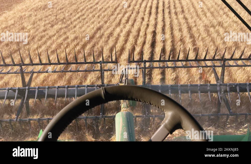 Collecting point Stock Videos & Footage - HD and 4K Video Clips - Alamy