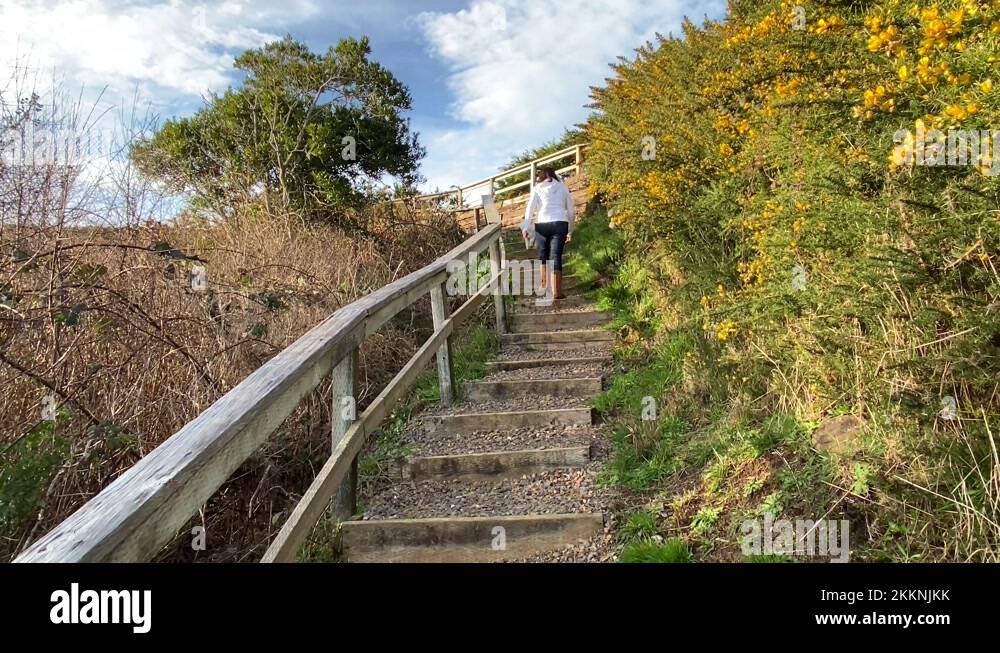Steps on the trail Stock Videos & Footage - HD and 4K Video Clips - Alamy
