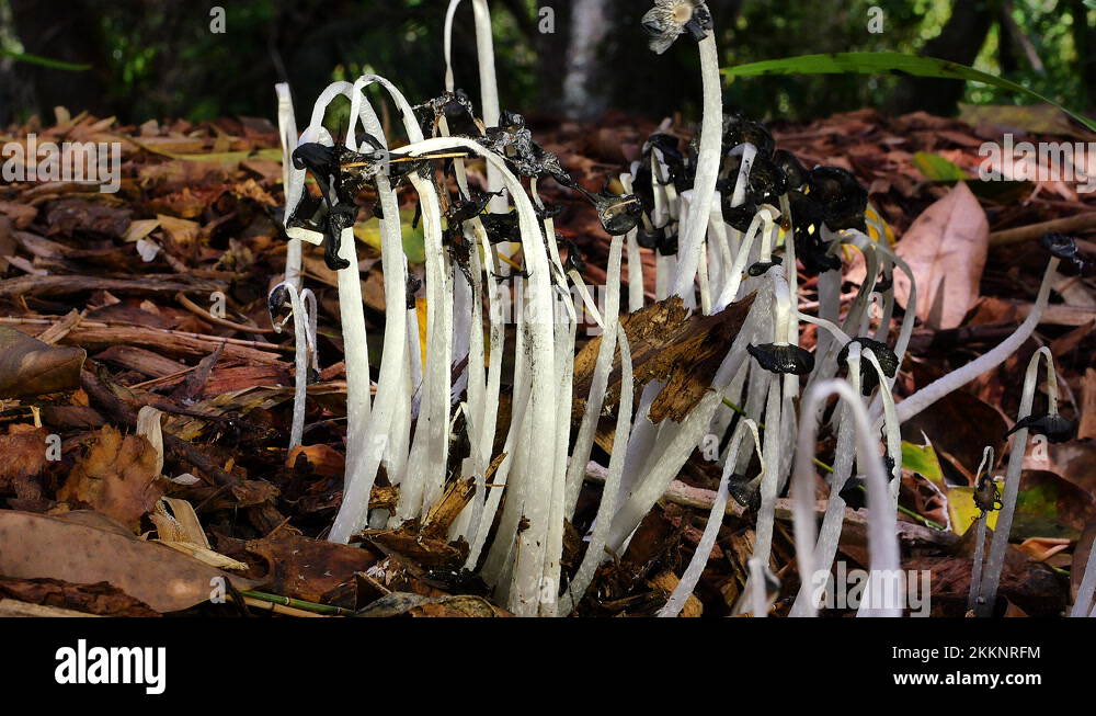 Cap bending Stock Videos & Footage - HD and 4K Video Clips - Alamy