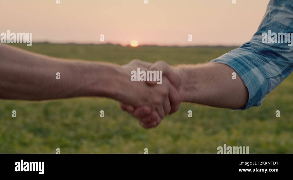 Sun shake Stock Videos & Footage - HD and 4K Video Clips - Alamy