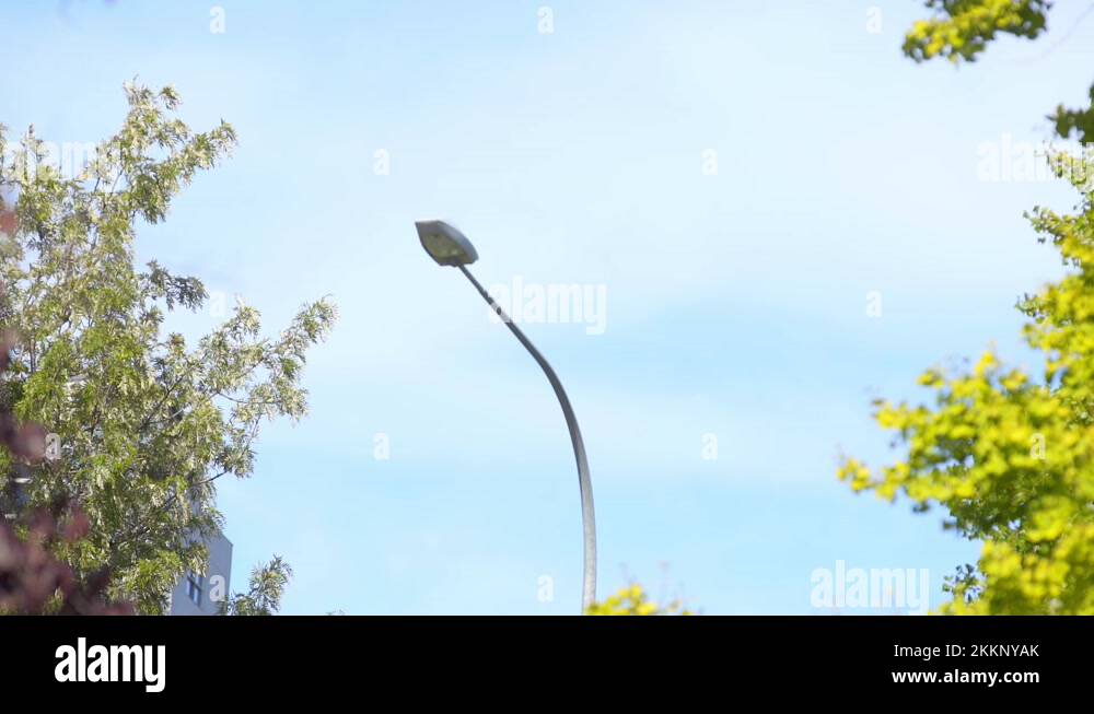 Tree in road Stock Videos & Footage - HD and 4K Video Clips - Alamy