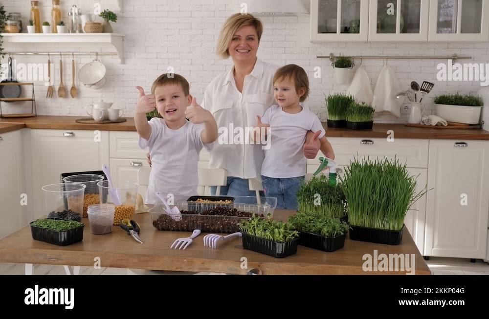 A mother and her children grow micro-greenery at home. Healthy ...