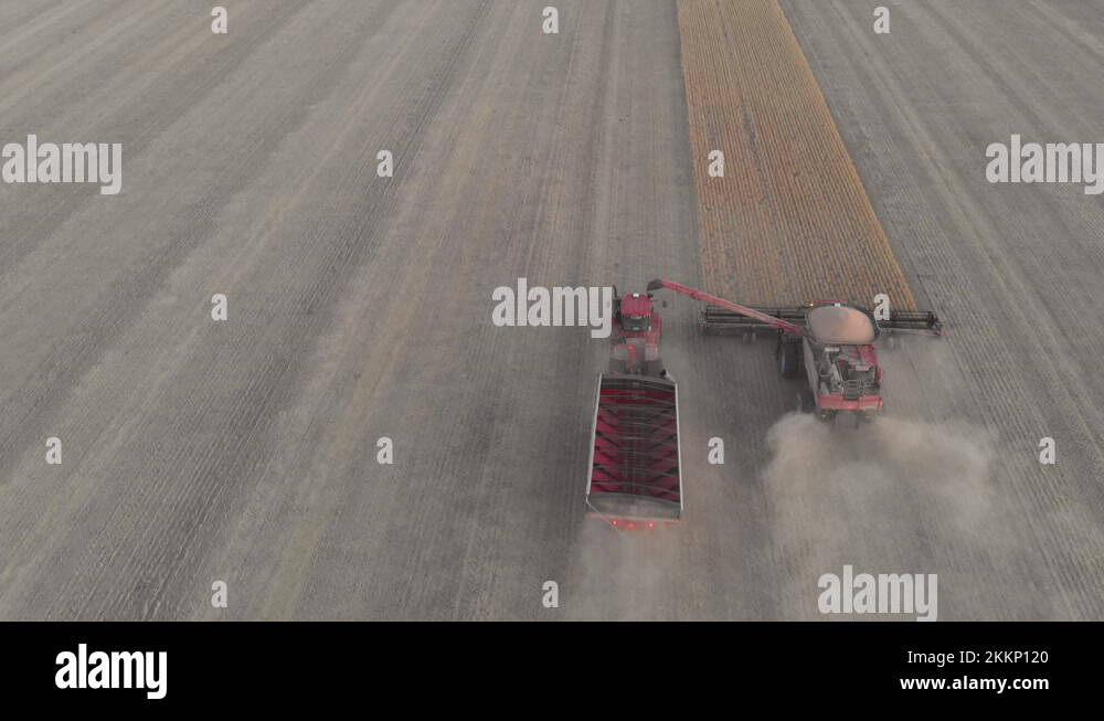 Full Combine harvester dumping its load into tractor with grain cart ...