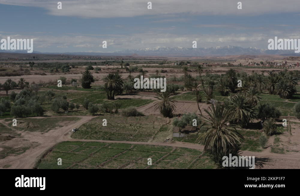Beautiful oasis Stock Videos & Footage - HD and 4K Video Clips - Alamy
