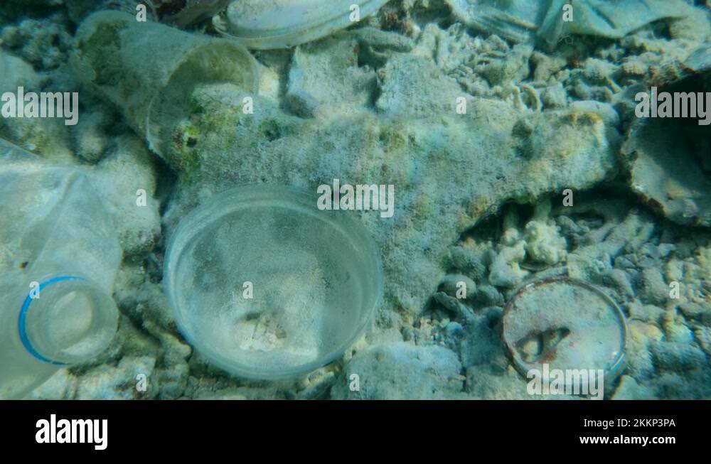A lot of plastic garbage on corals sea bottom. Plastic pollution of ...