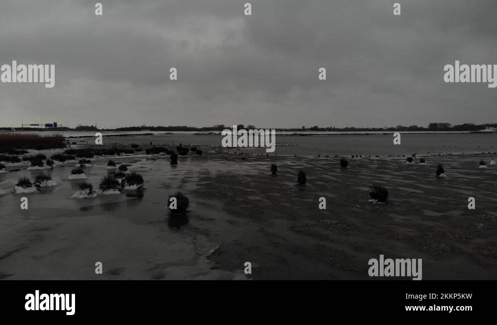 Migratory shore birds flight Stock Videos & Footage - HD and 4K Video ...