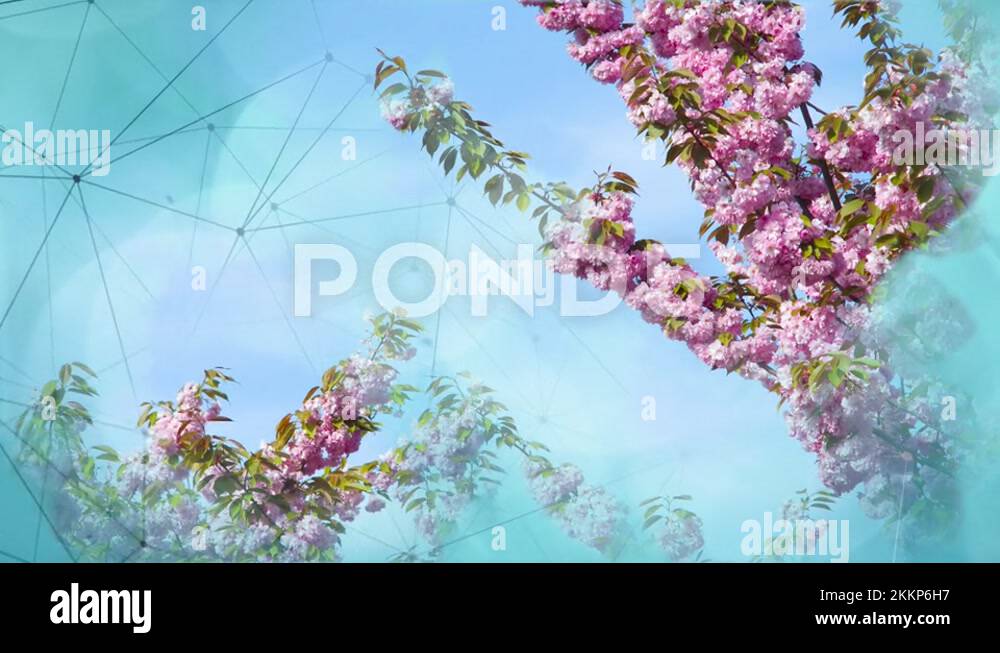 Flora plant background Stock Videos & Footage - HD and 4K Video Clips ...