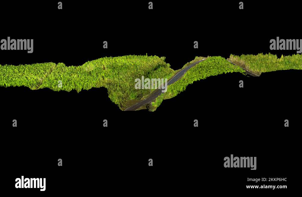 3d digital model representation of a high altitude forest real life ...