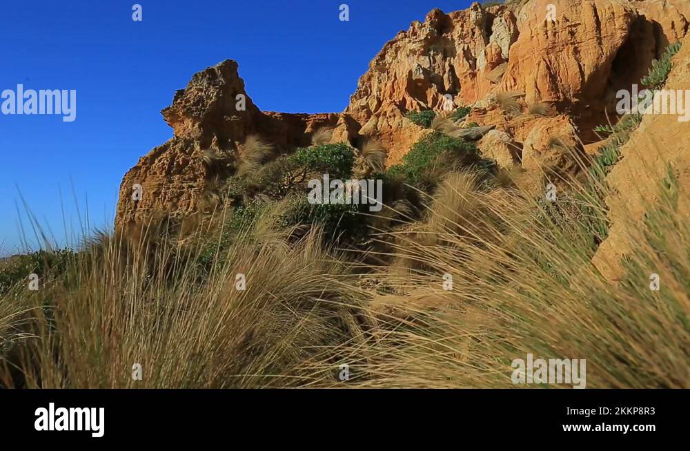 Outback australian landscape Stock Videos & Footage - HD and 4K Video ...
