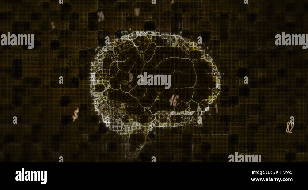 Multiple numbers floating against human brain spinning on black ...