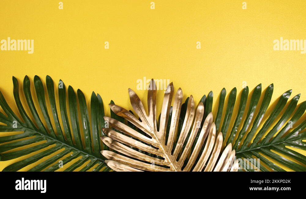 Gold palm pattern Stock Videos & Footage - HD and 4K Video Clips - Alamy