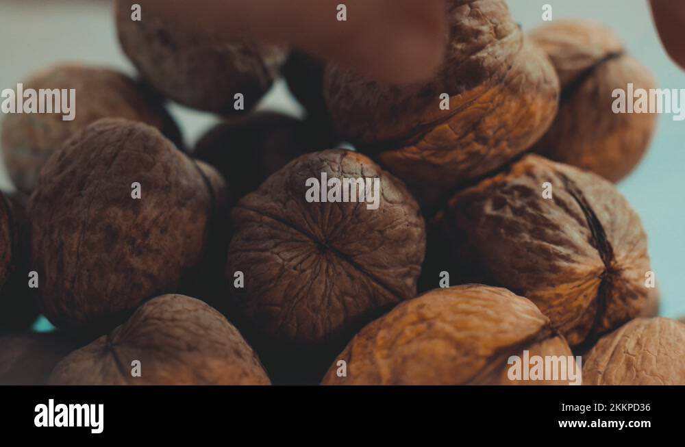 Brain nut Stock Videos & Footage - HD and 4K Video Clips - Alamy