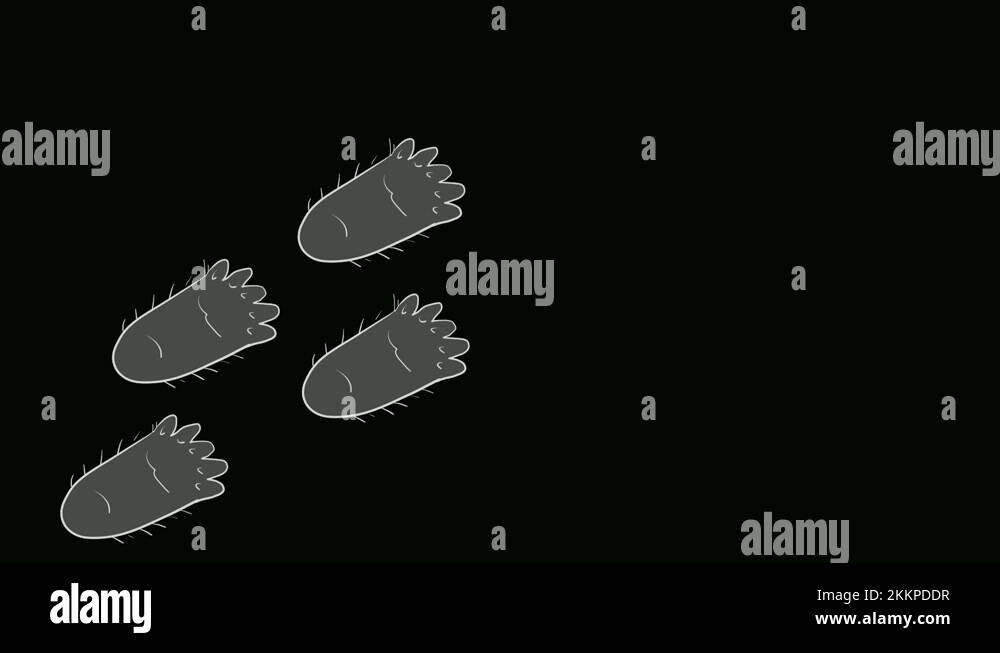 Steps of a walking Bigfoot Stock Video Footage - Alamy