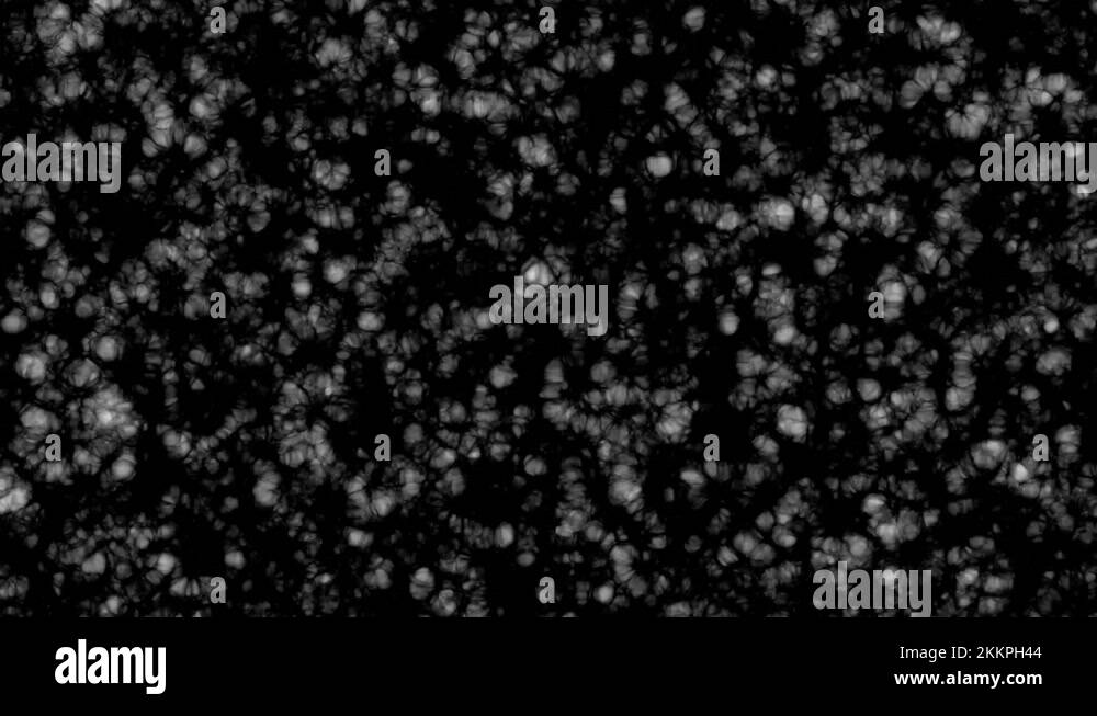 Intro Design Animated Texture Background Design Art Color Graphics ...