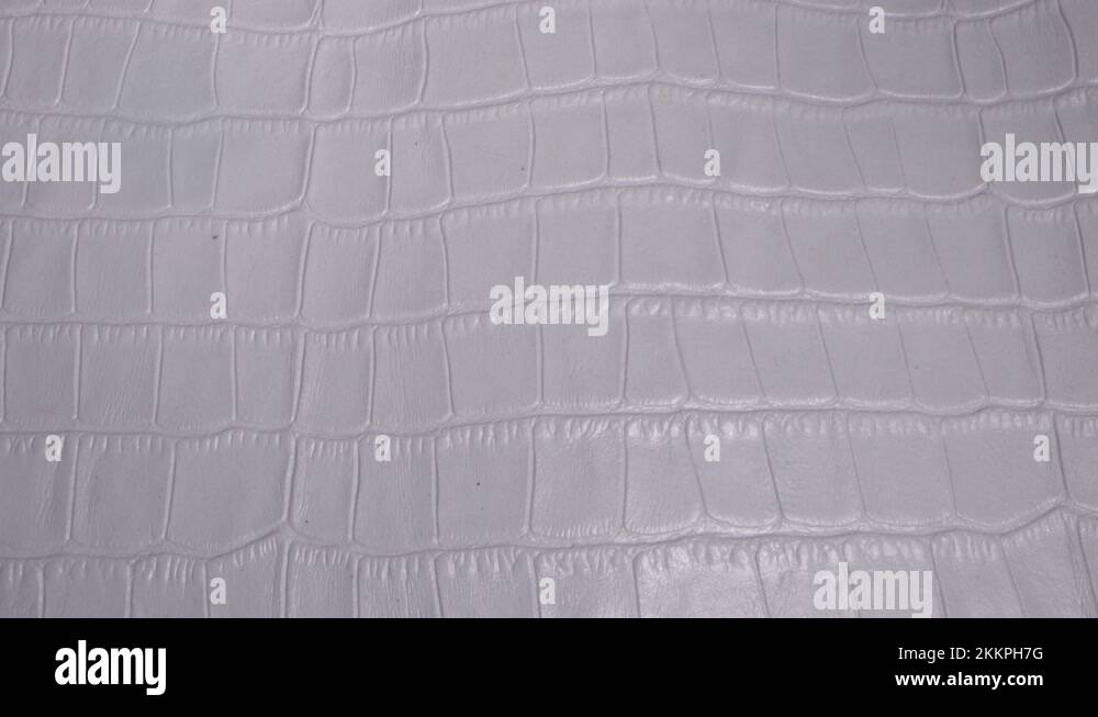 Real animal skin Stock Videos & Footage - HD and 4K Video Clips - Alamy