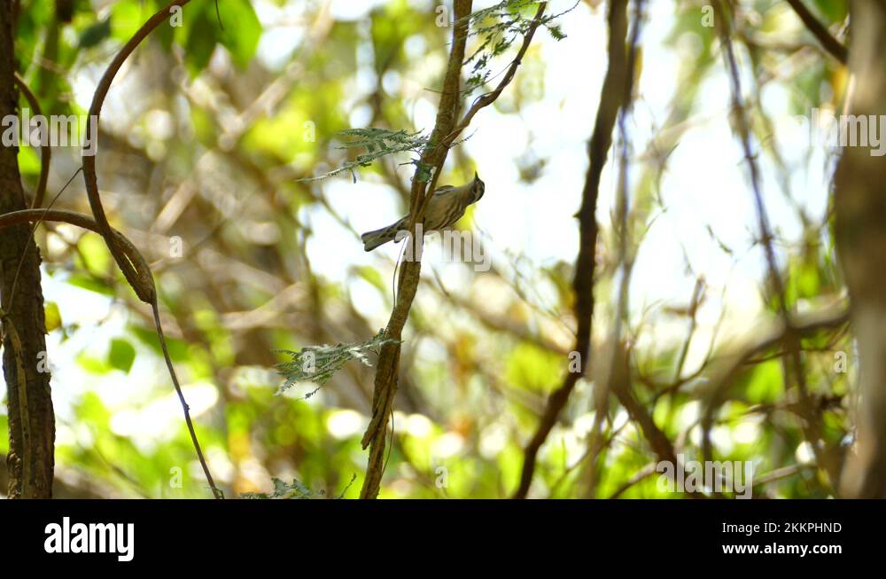 Hopping landscape Stock Videos & Footage - HD and 4K Video Clips - Alamy