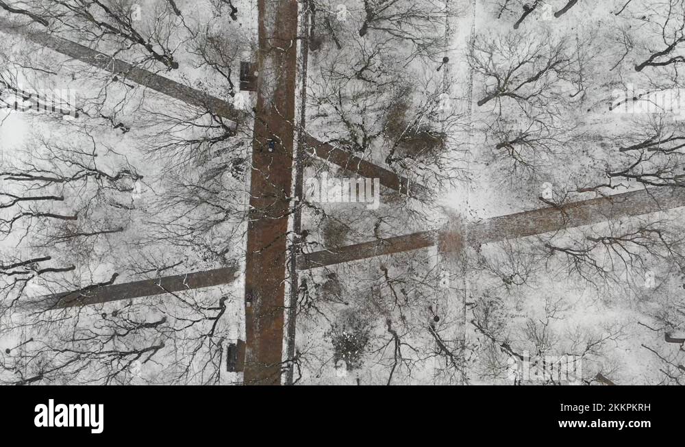 Path paths Stock Videos & Footage - HD and 4K Video Clips - Alamy