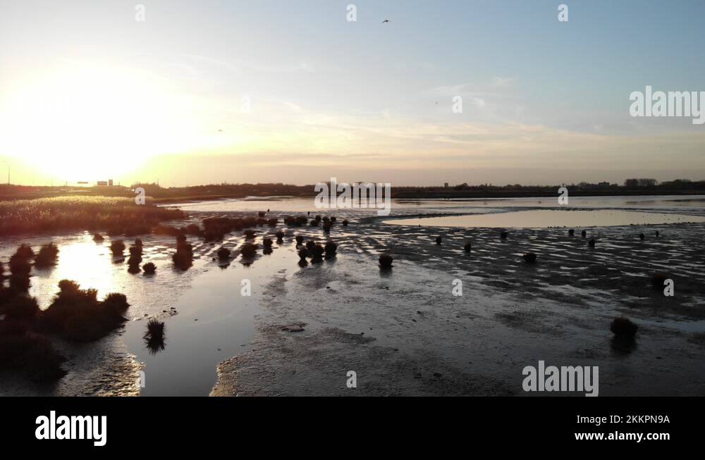 Tidal nature reserve Stock Videos & Footage - HD and 4K Video Clips - Alamy