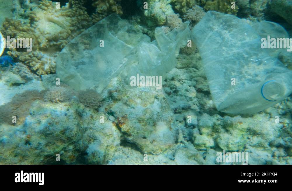 A lot of plastic garbage and other trash on corals sea bottom. Plastic ...