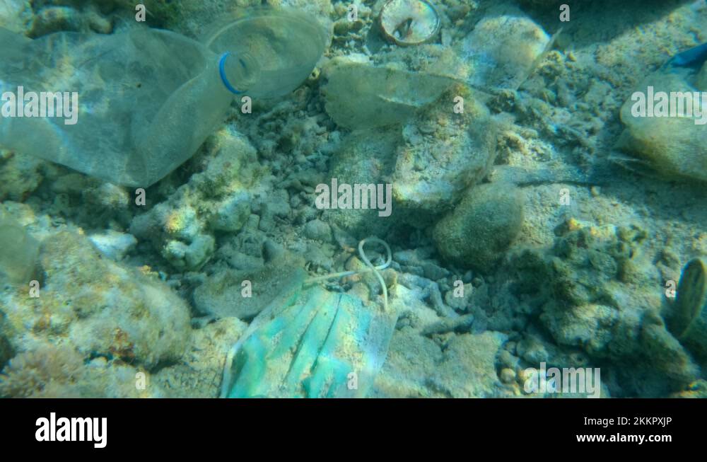 A lot of plastic garbage and other trash on corals sea bottom. Plastic ...