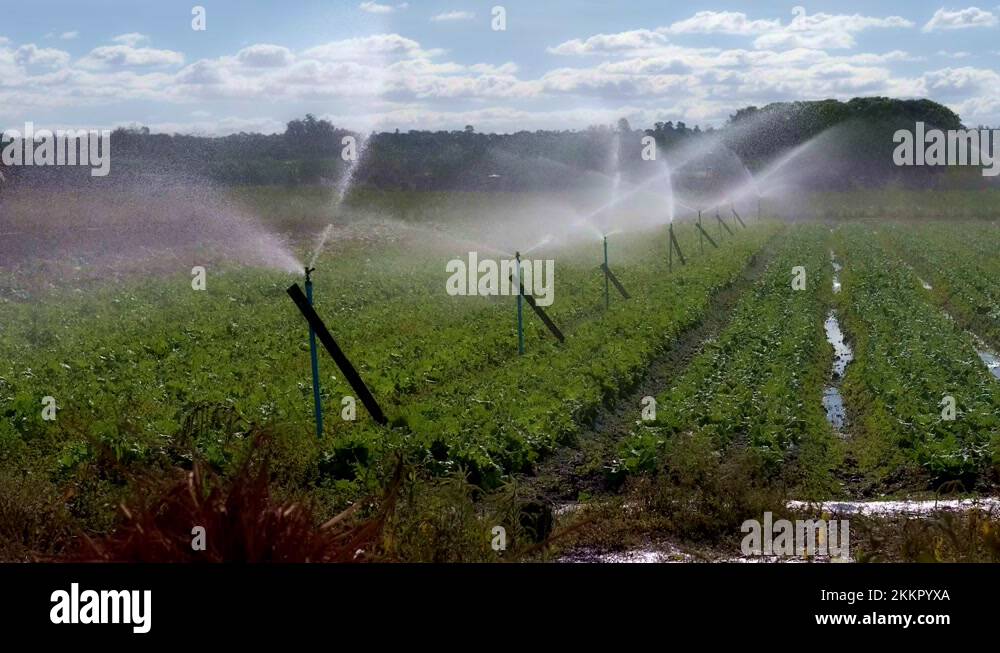 Farm irrigation rows Stock Videos & Footage - HD and 4K Video Clips - Alamy