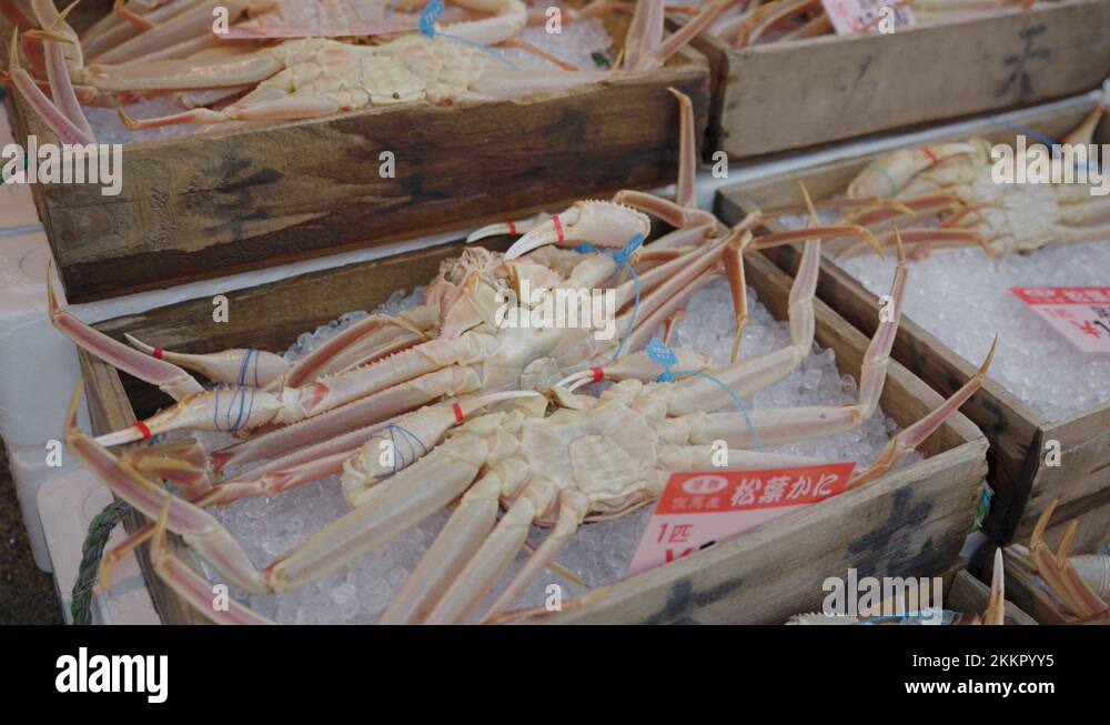 Fresh Live Japanese Crabs on Ice at Fish Market, Kinosaki Onsen Town ...