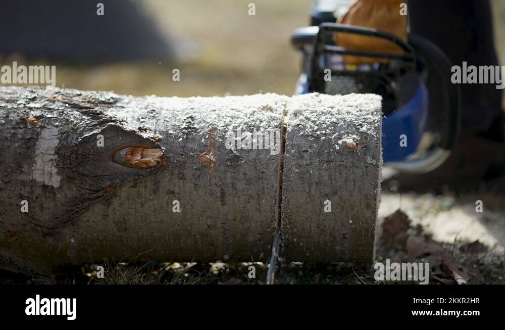 Cutting off section Stock Videos & Footage - HD and 4K Video Clips - Alamy