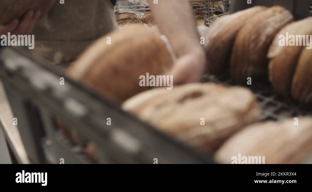 Busy Bearded male baker wearing apron in bakery packing bread for ...