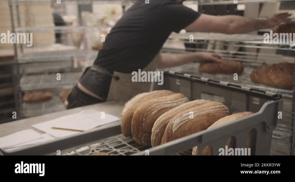 Busy Bearded male baker wearing apron in bakery packing bread for ...