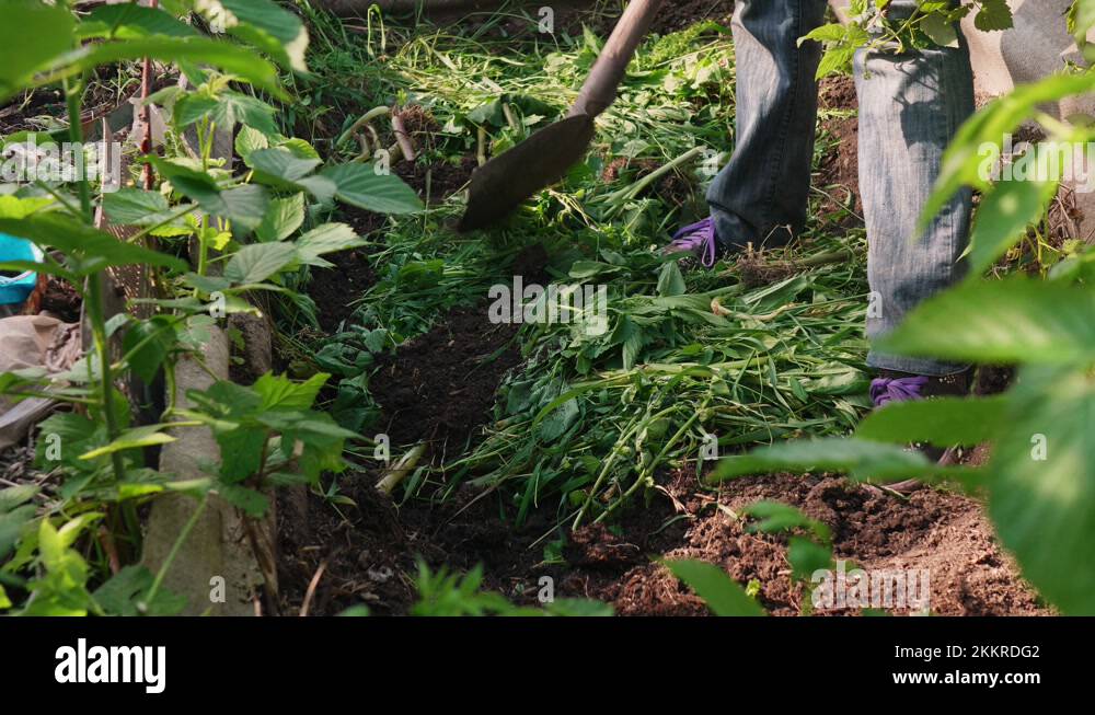 Composting process Stock Videos & Footage - HD and 4K Video Clips - Alamy
