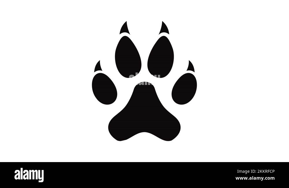 Cat paw shape Stock Videos & Footage - HD and 4K Video Clips - Alamy