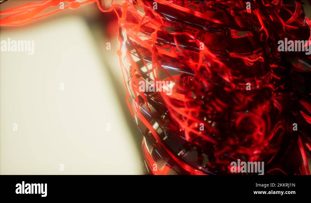 inspection of blood in the blood vessels of the circulatory system ...