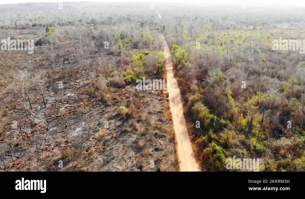 Madagascar conservation Stock Videos & Footage - HD and 4K Video Clips ...