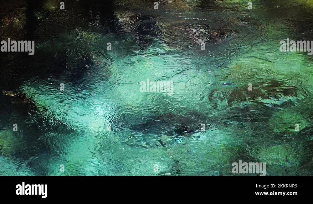 Natural bitter spring water bursting up from underground cave system in ...