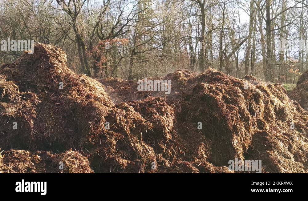Muck pile Stock Videos & Footage - HD and 4K Video Clips - Alamy